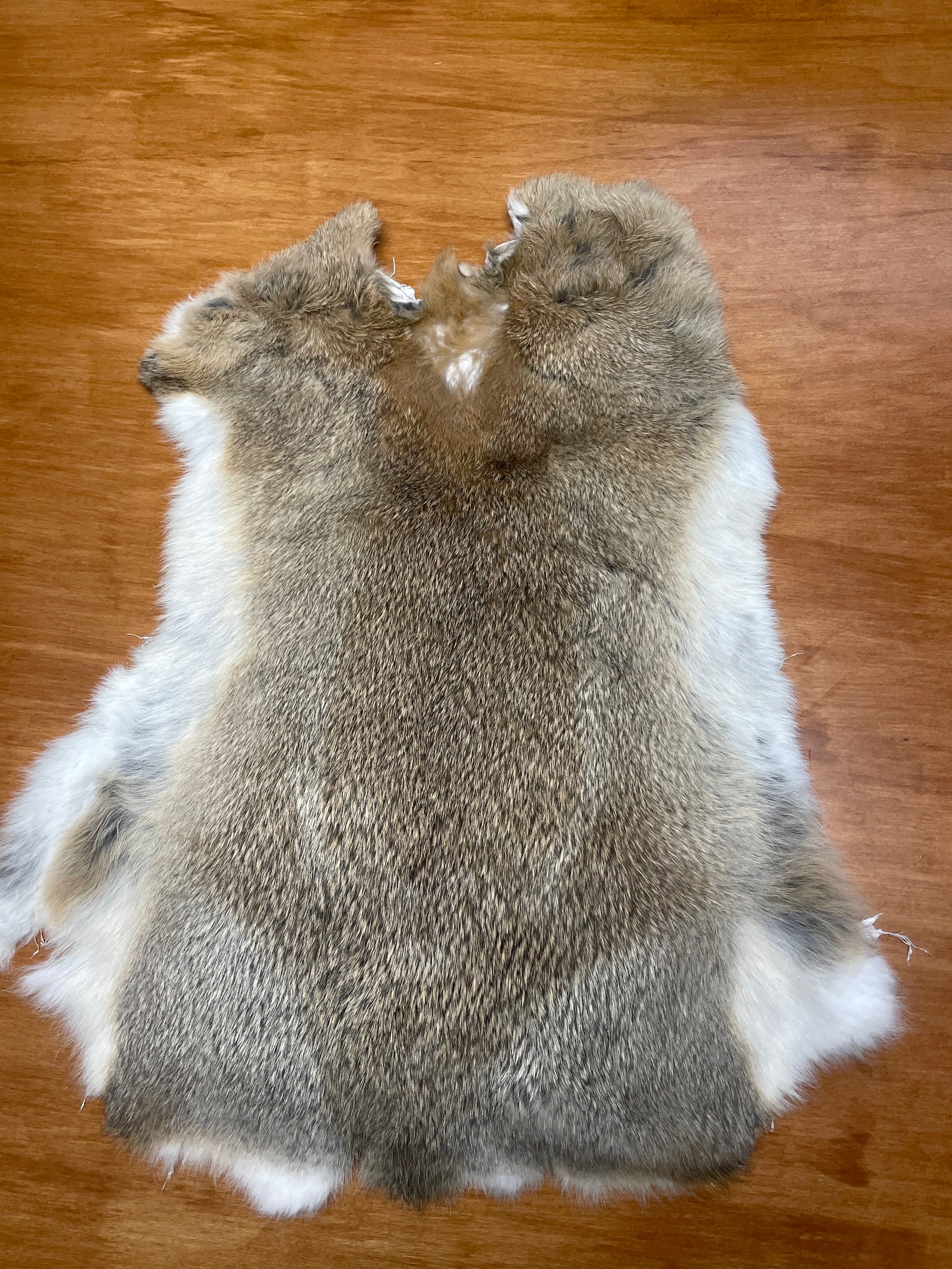 1 Pcs Natural Color Rabbit Fur Pelts Craft Grade Assorted - Etsy