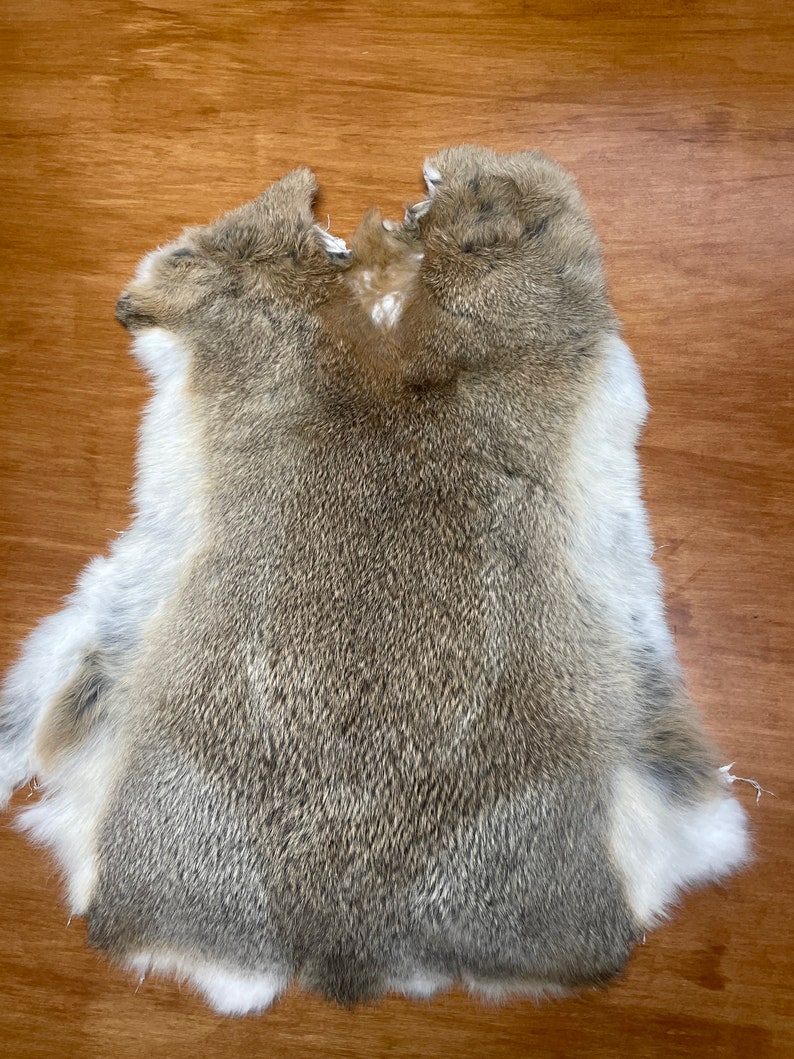 1 Pcs Natural Color Rabbit Fur Pelts Craft Grade Assorted - Etsy