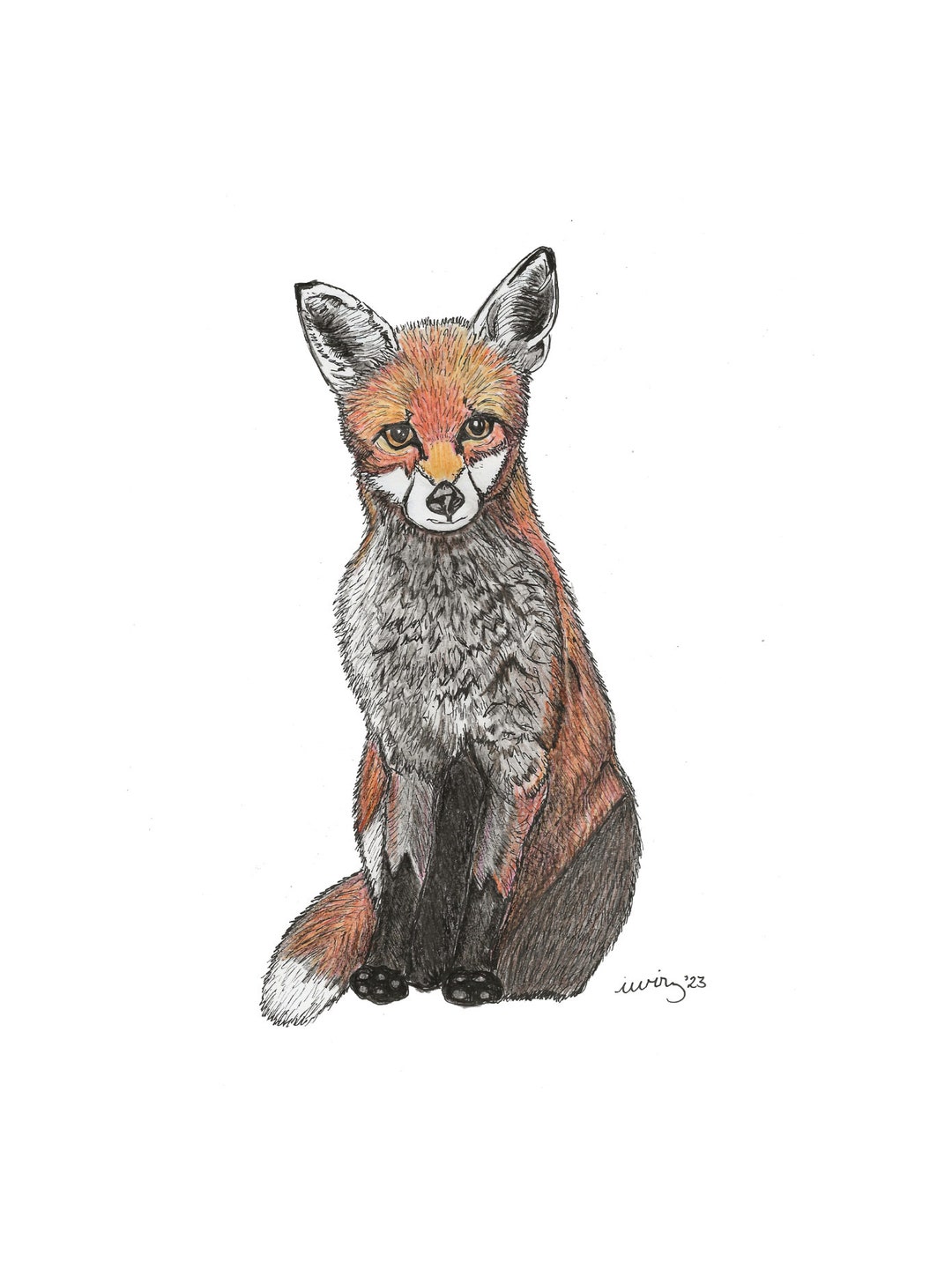 Fox Print, 8 X 10 Inch - Etsy