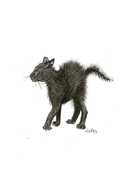Black Cat Hissing Drawing
