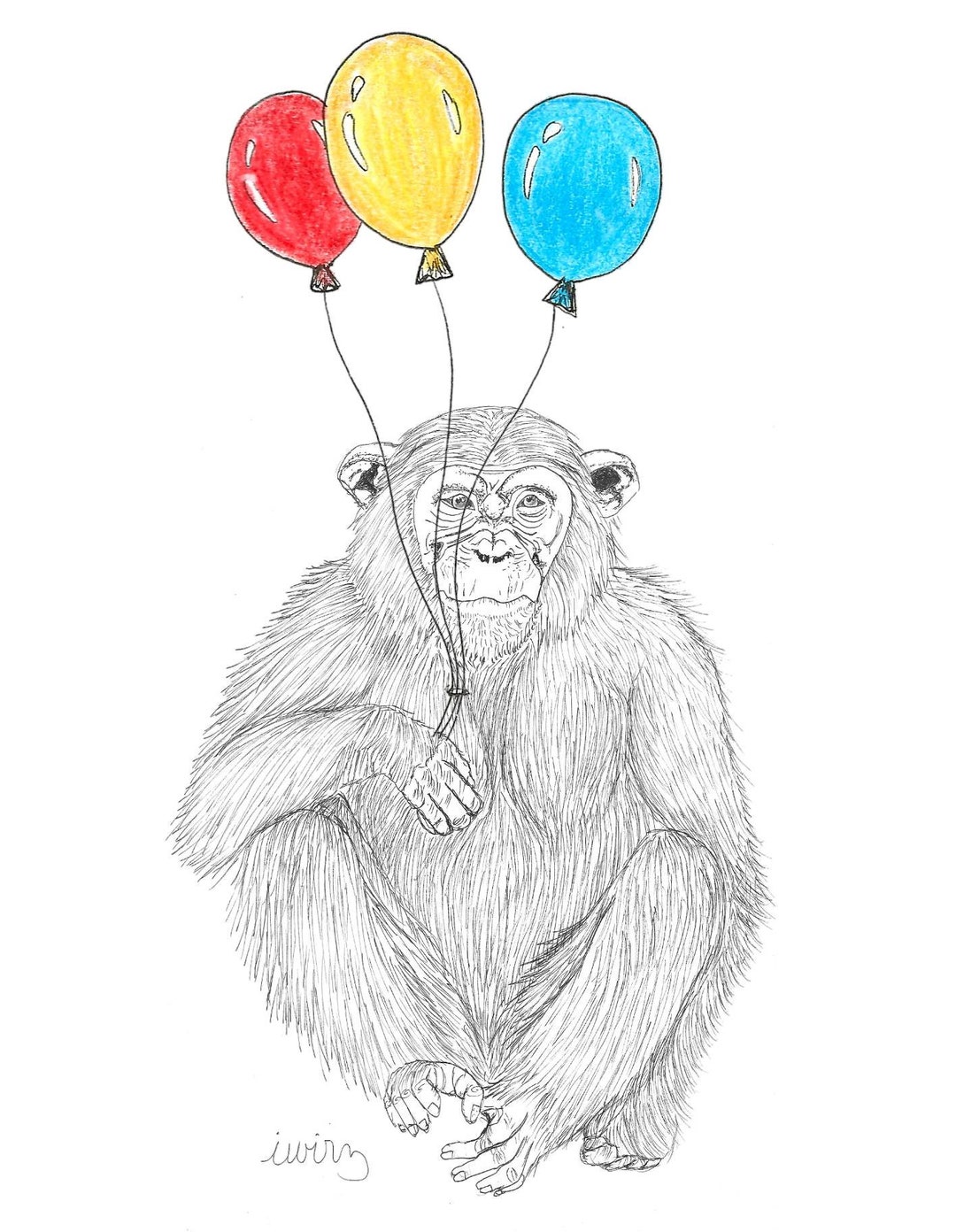 Chimpanzee With Balloons, 8x10 or 5x7 Inch Print - Etsy UK
