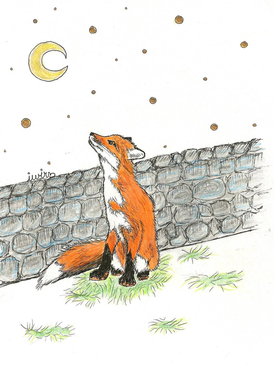 Moon Struck Fox Animal Art Print, Pen and Pencil Crayon, 8x10 Inch - Etsy