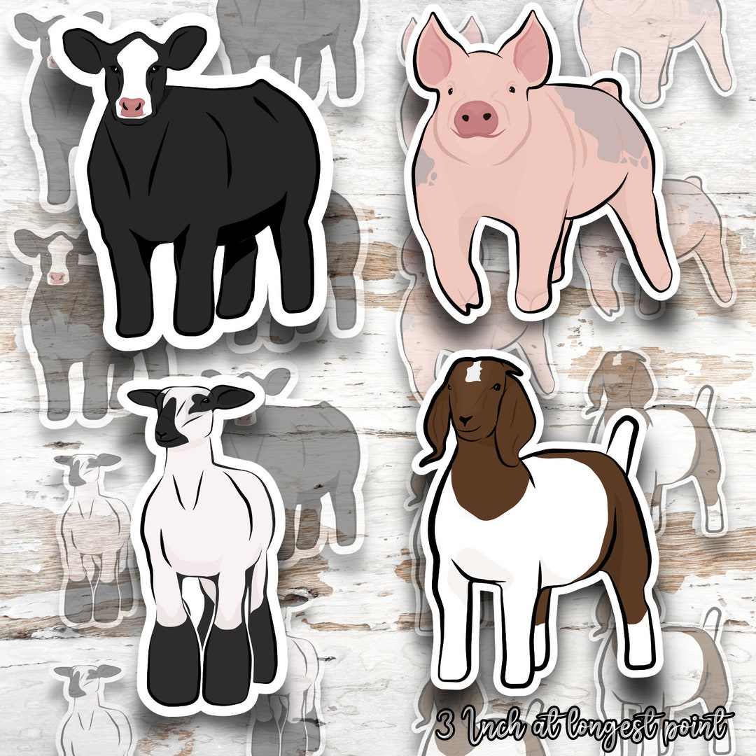 Show String Livestock Stickers - Etsy