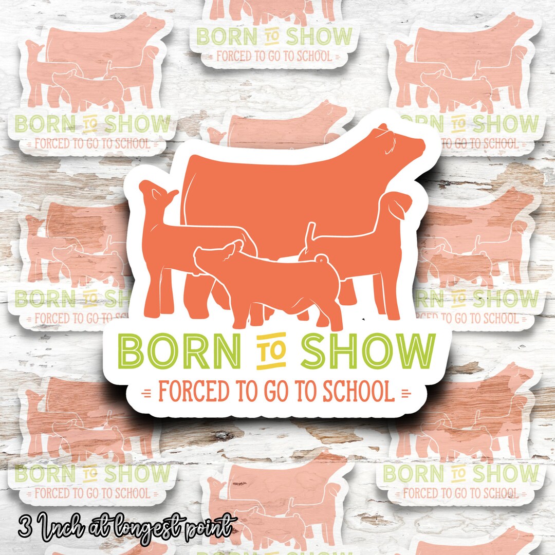 Born to Show Livestock Sticker - Etsy