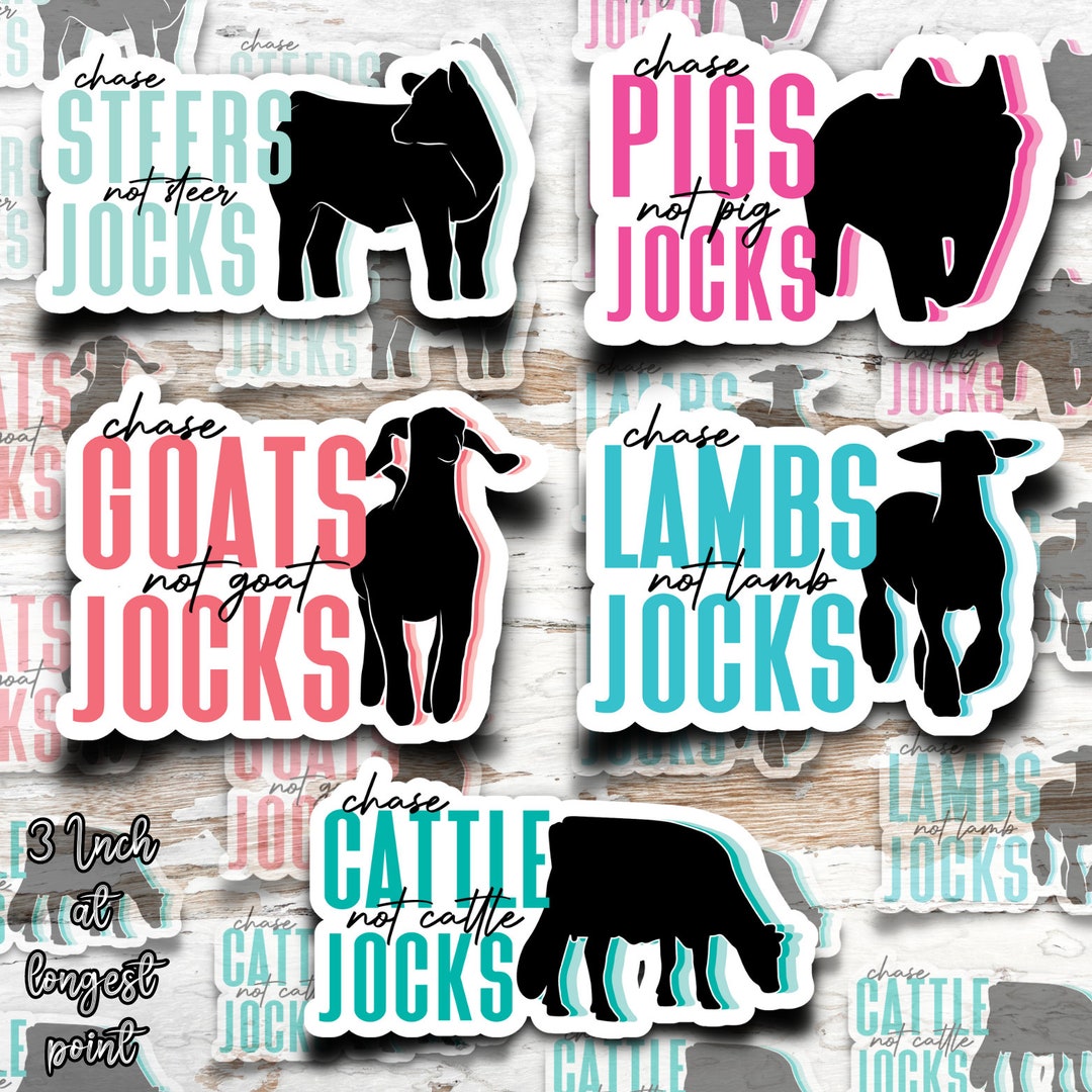 Chase Stock Not Jocks Stickers - Etsy