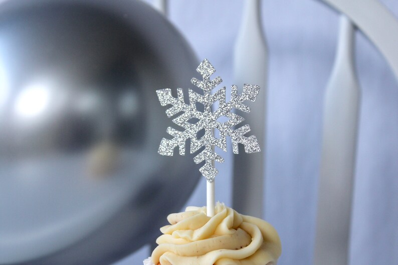 Pink and Silver Snowflake Photo Banner Winter Onederland | Etsy