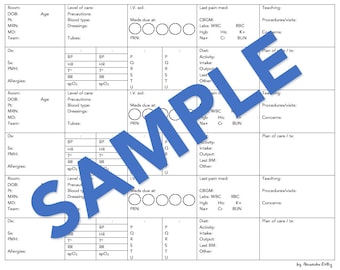 Nursing Patient Assignment Sheet - Etsy