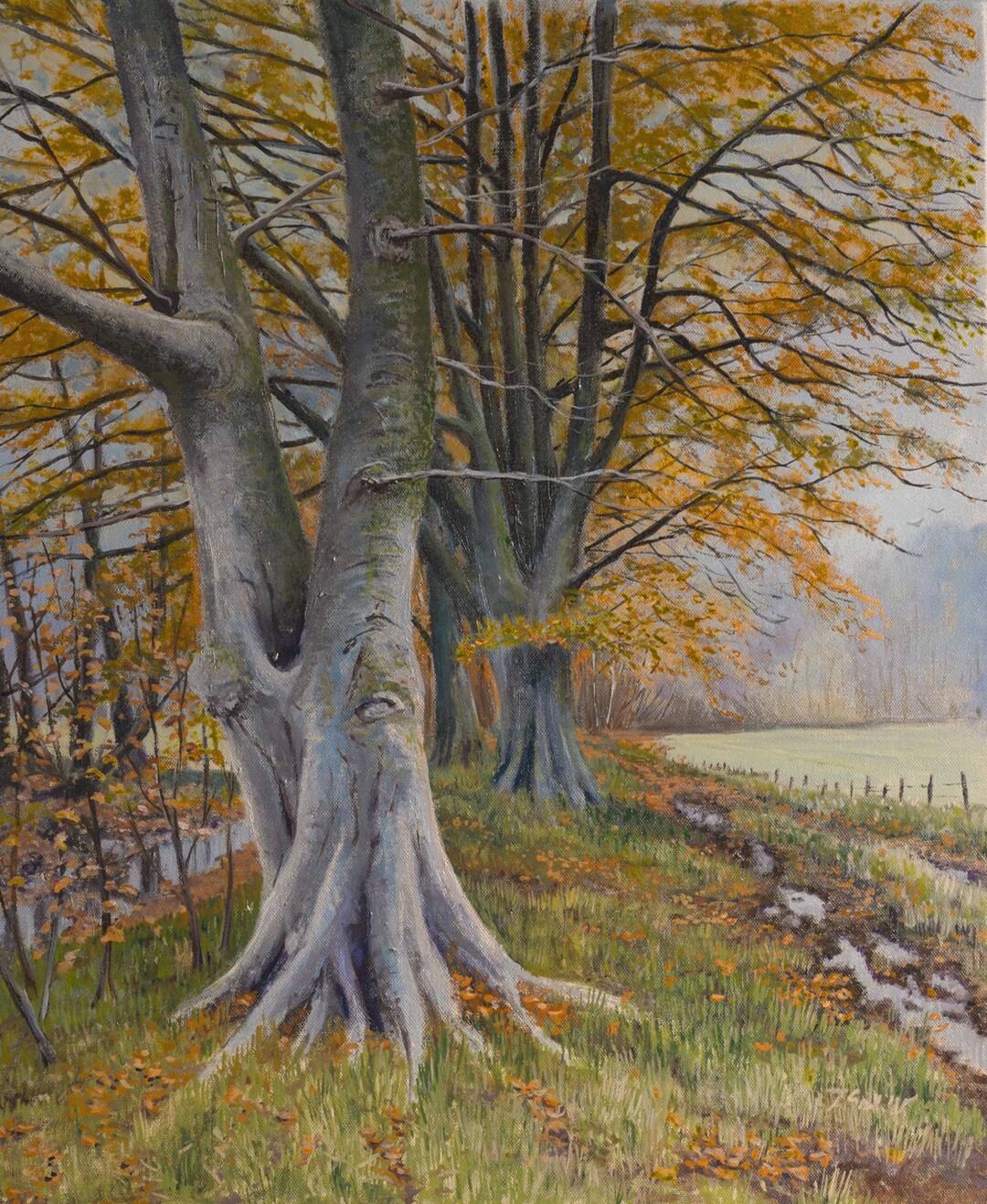 Original Oil Painting "beech Trees at Thruscross" - Etsy