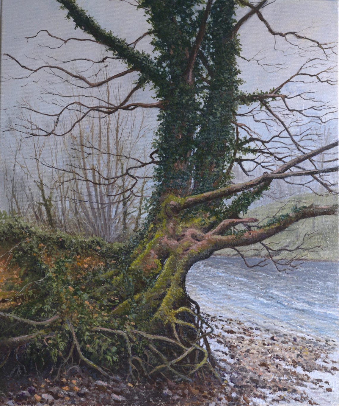 Original Oil Painting "beech Tree by the River Wharfe" - Etsy
