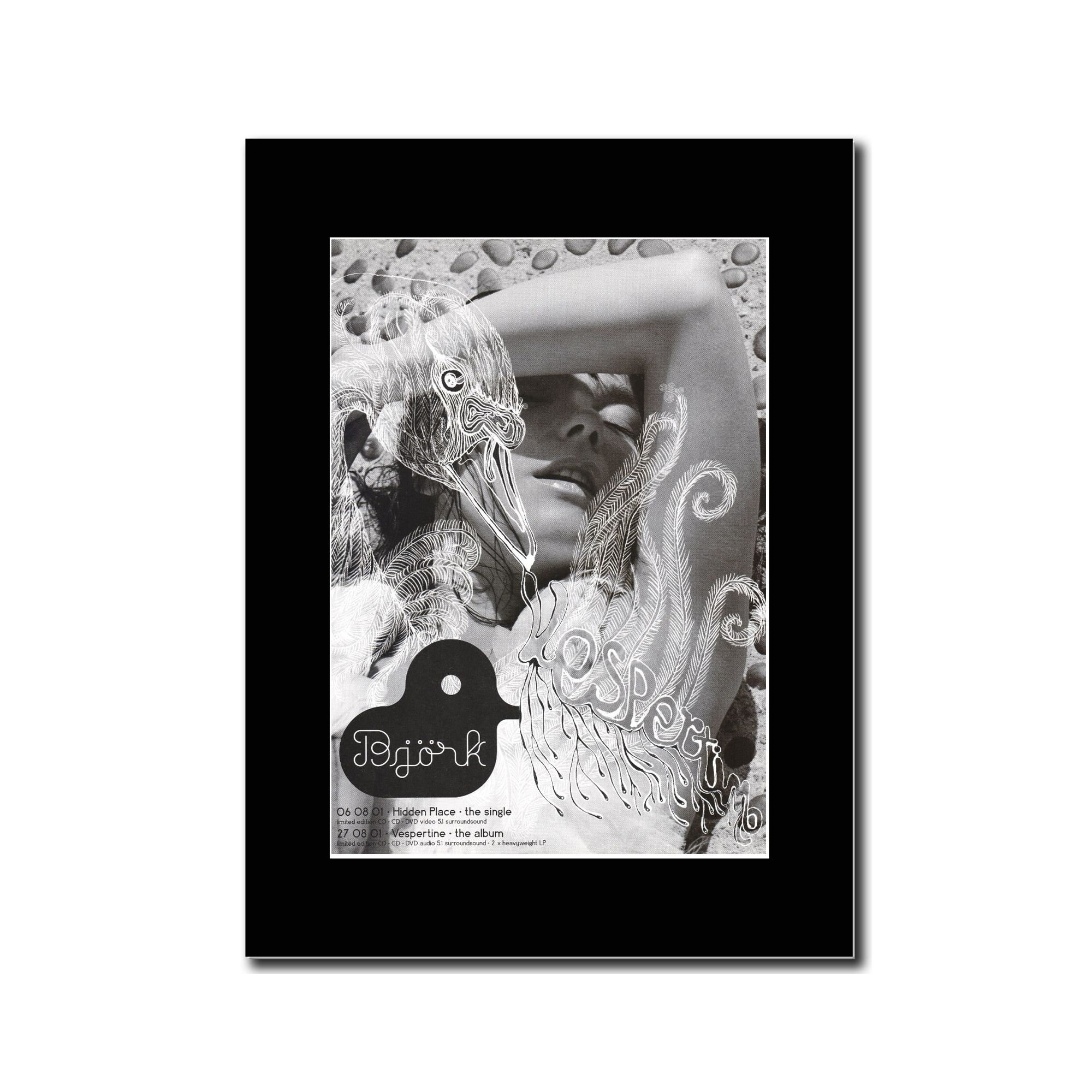 Bjork Vespertine Album Cover