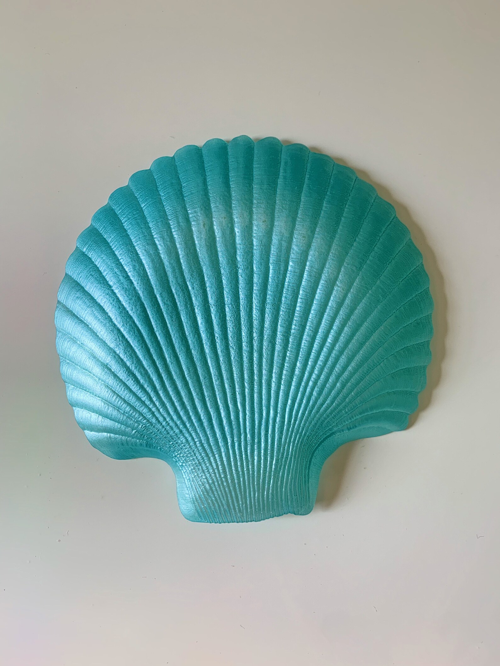 Blue Seashell Catchall Dish - Etsy