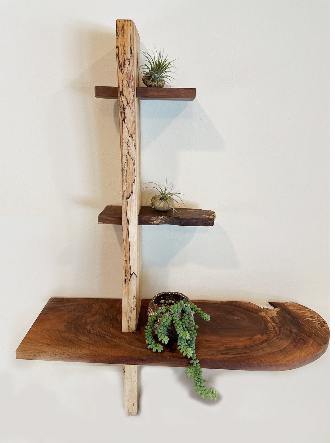 Walnut and Spalted Maple Three Tiered Shelf - Etsy