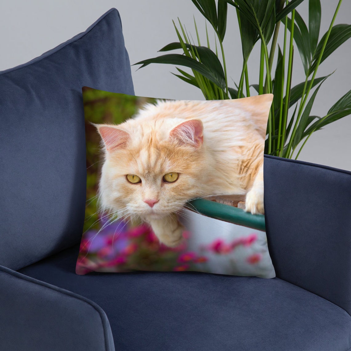 Coussin décoratif Chat couché - Etsy France
