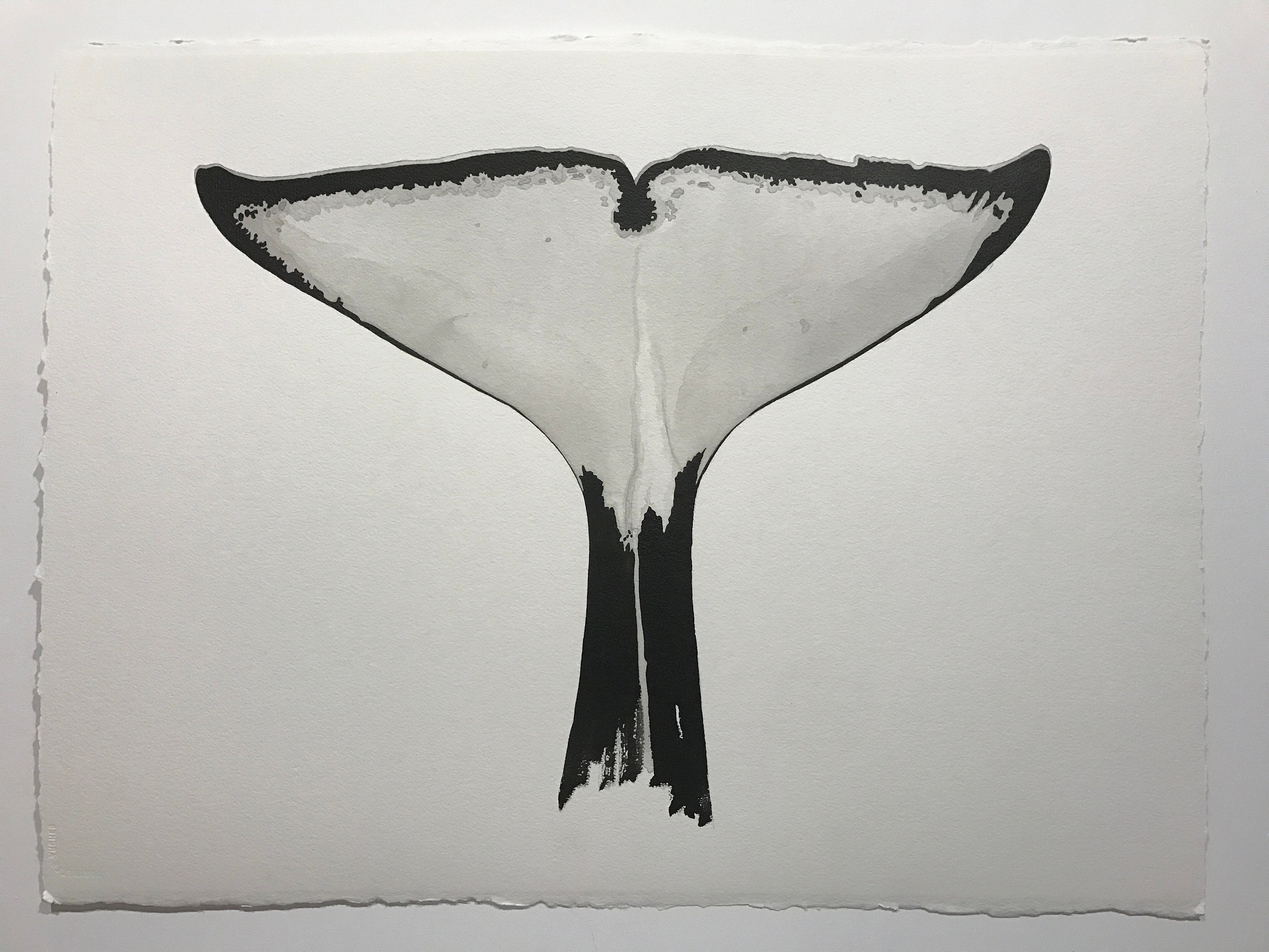 Killer Whale Orca Whale Tail Painted With Sumi Ink - Etsy Denmark