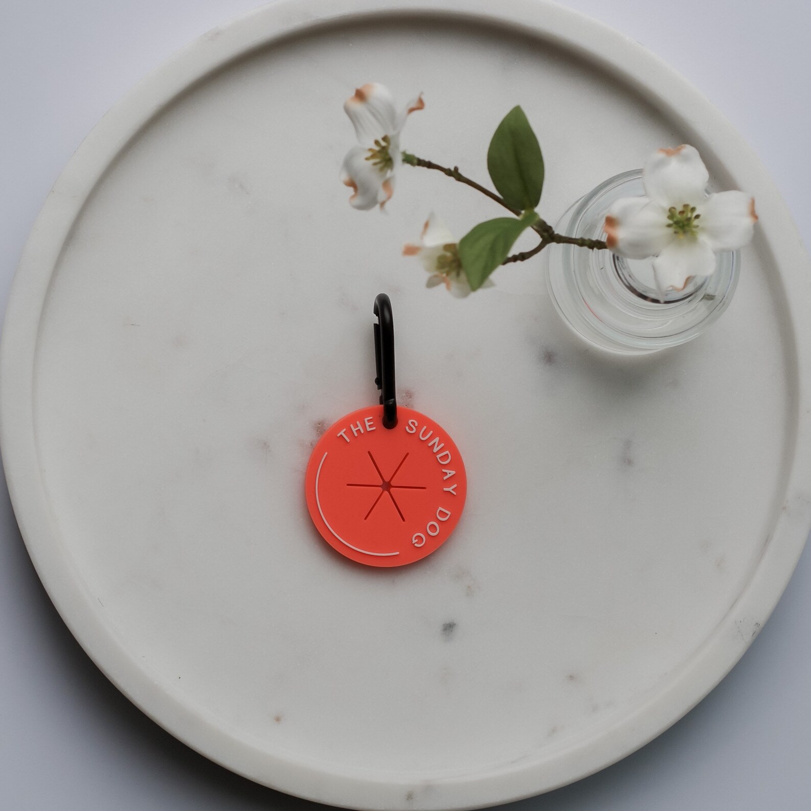 The Loop Di Doo Pet Waste Bag Holder Poop Loop Dog Bag - Etsy