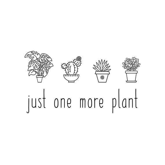 Plant Drawing Tumblr