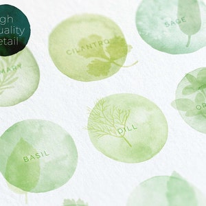 Herb Color Chart | Printable Wall Art, Modern Minimalist Dining Room ...
