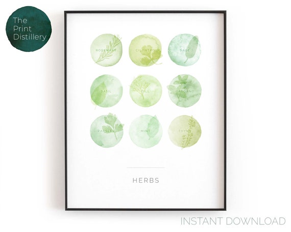 Herb Color Chart Printable Wall Art Modern Minimalist - Etsy