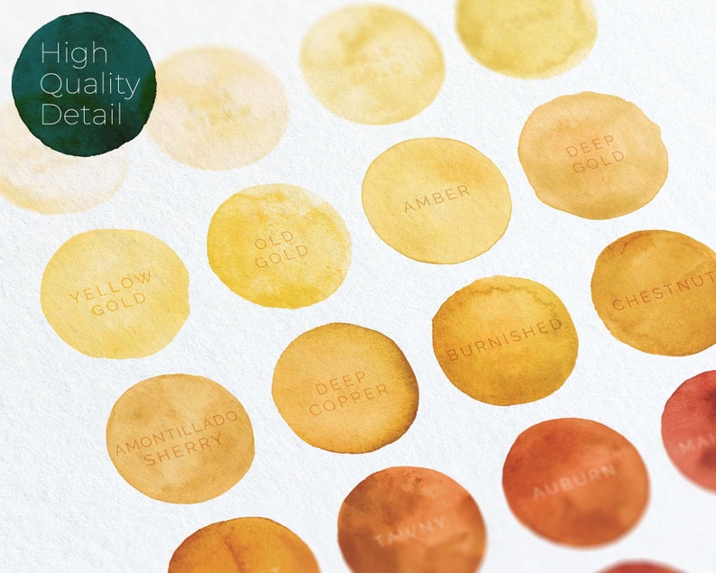 Whiskey Color Scale Chart | Printable Wall Art, Modern Minimalist ...