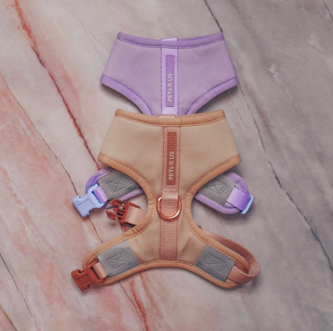 Pets R US Premium No Pull Dog Harness 2 Leash Clips No Choke Neoprene ...