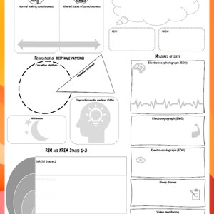 Unit 4 VCE Psychology Revision Posters (2023 - 2027 SD) - Etsy Australia