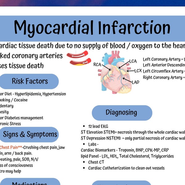 Nursing School Notes, Med Surg Pulmonary Basics, Pulmonary Anatomy ...