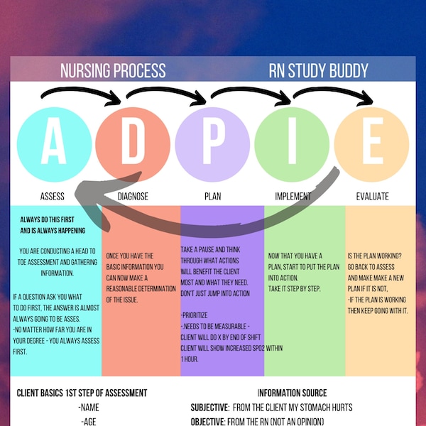 Nursing Student Assessment Cheat Cheat - Etsy