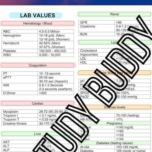 Nursing Lab Values Quick Reference Cheat Sheet. One Page Study - Etsy