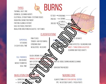 Rule of Nines Burn Chart - Etsy UK