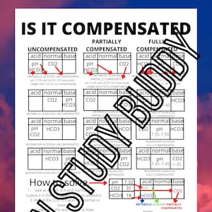 ABG Nursing Cheat Sheet, With a Step by Step Study Guide on Blood Gas ...