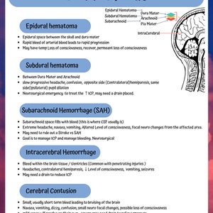 Neuro Medsurg Bundle. 20 Pages Easy Neurology Medsurg Nursing Notes and ...