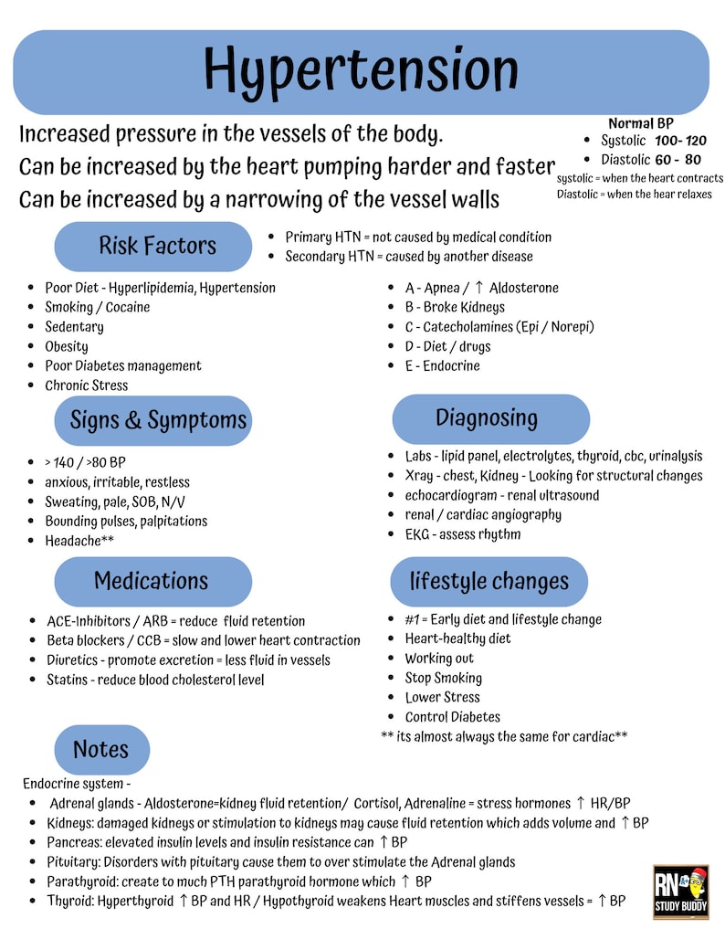 Nursing School Notes, Medsurg Hypertension Pathophysiology Made Easy ...