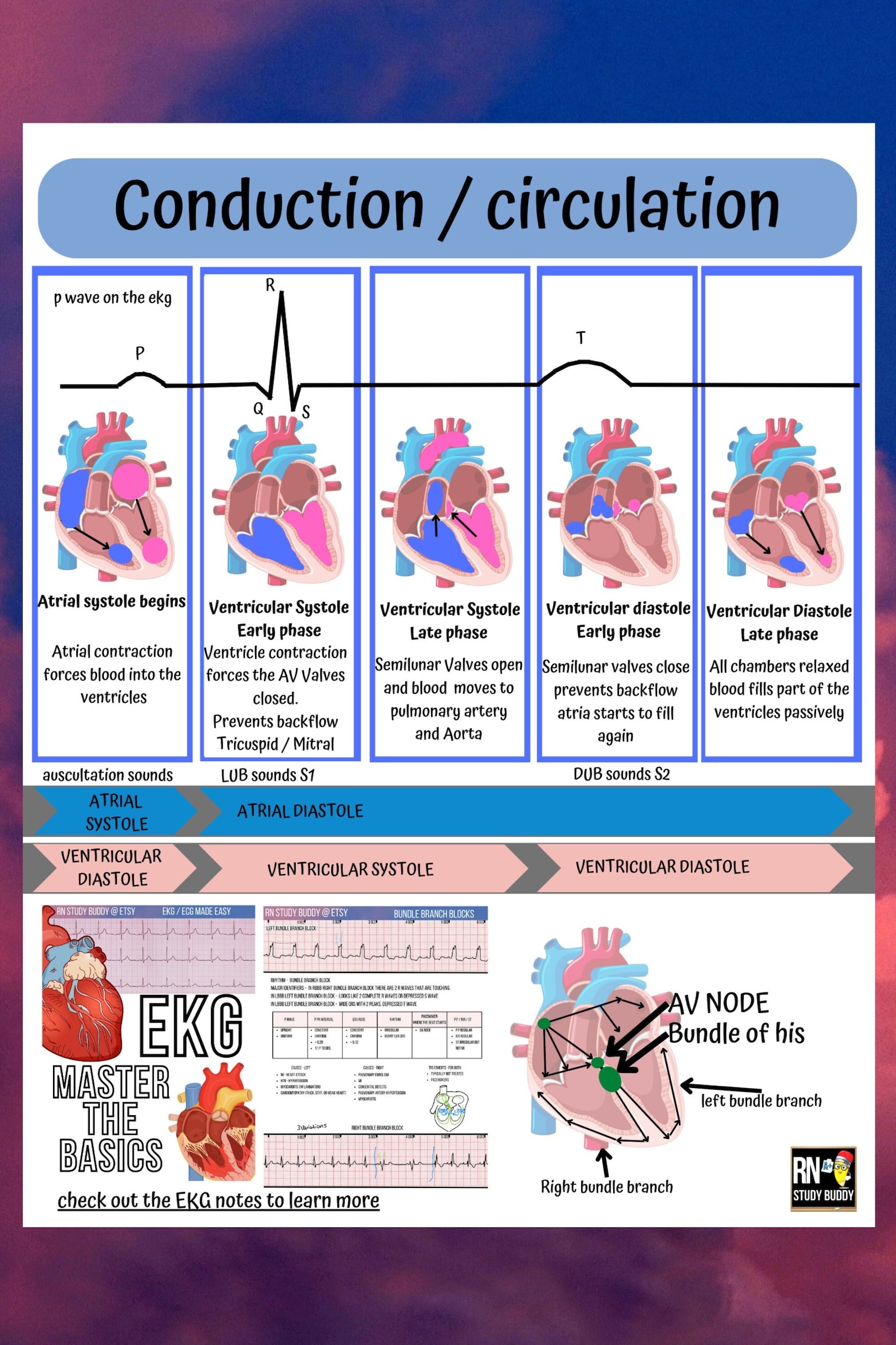 Cardiac Medsurg Bundle. 18 Pages Easy Cardiac Medsurg Nursing Notes and ...