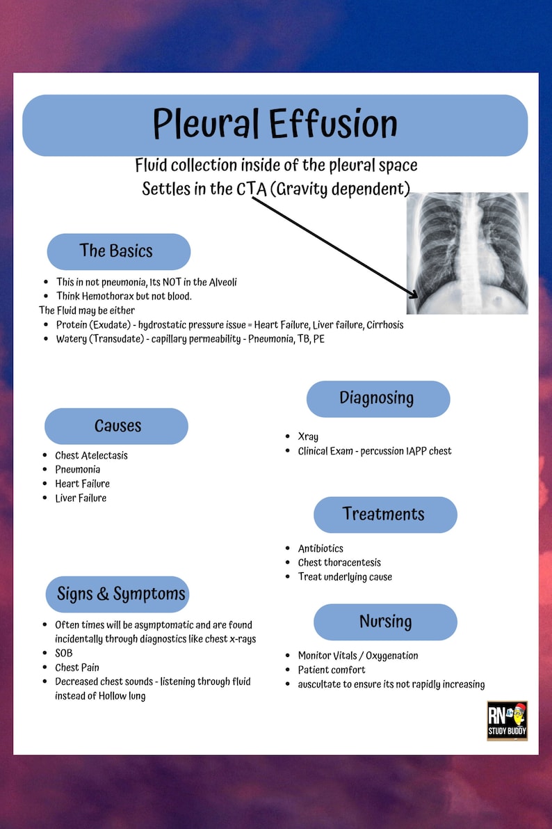 Pleural Effusion Nursing School Notes, Med Surg Pulmonary Basics ...