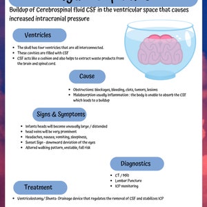 Neuro Medsurg Bundle. 20 Pages Easy Neurology Medsurg Nursing Notes and ...