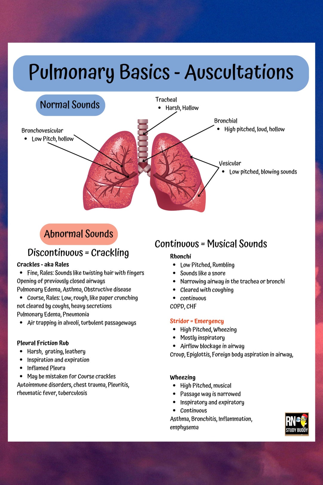 Nursing School Notes, Med Surg Pulmonary Basics, Pulmonary Anatomy ...