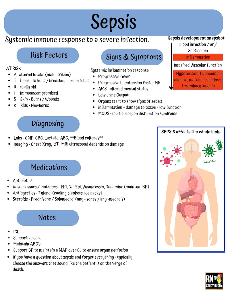 Nursing School Notes, Medsurg Septic Shock Pathophysiology Made Easy ...