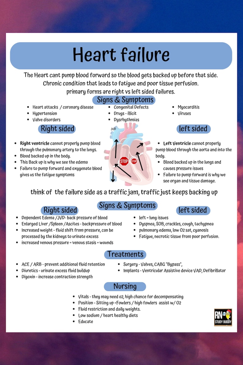 Cardiac Medsurg Bundle. 18 Pages Easy Cardiac Medsurg Nursing Notes and ...