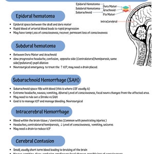 Nursing School Notes, Medsurg Neurology Brain Bleeding and Hemorrhage ...