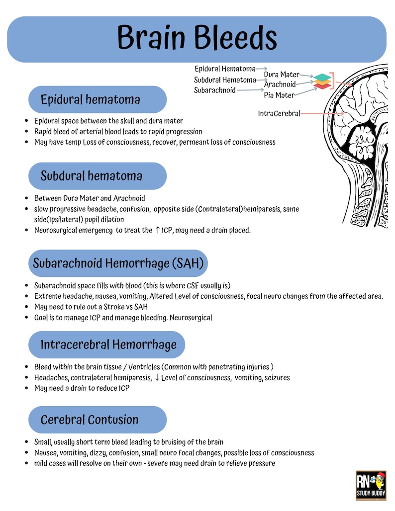 Nursing School Notes, Medsurg Neurology Brain Bleeding and Hemorrhage ...