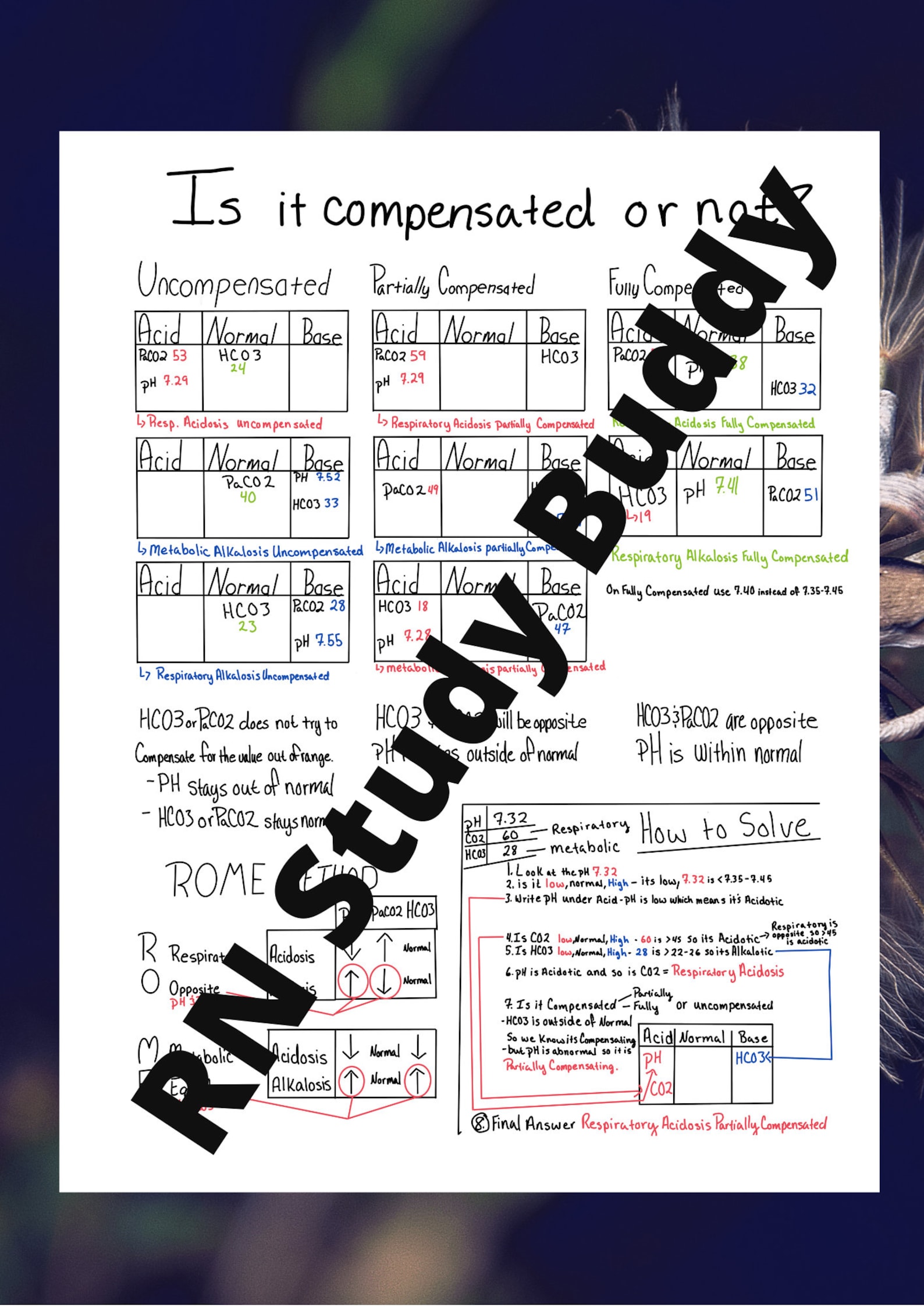 ABG Nursing Cheat Sheet, With a Step by Step Study Guide on Blood Gas ...