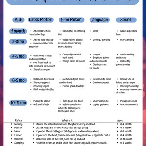 Nursing School Pediatrics Bundle. 41 Pages of Pediatric Nursing Notes ...