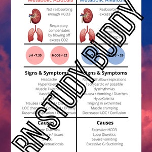 ABG Nursing Cheat Sheet, With a Step by Step Study Guide on Blood Gas ...