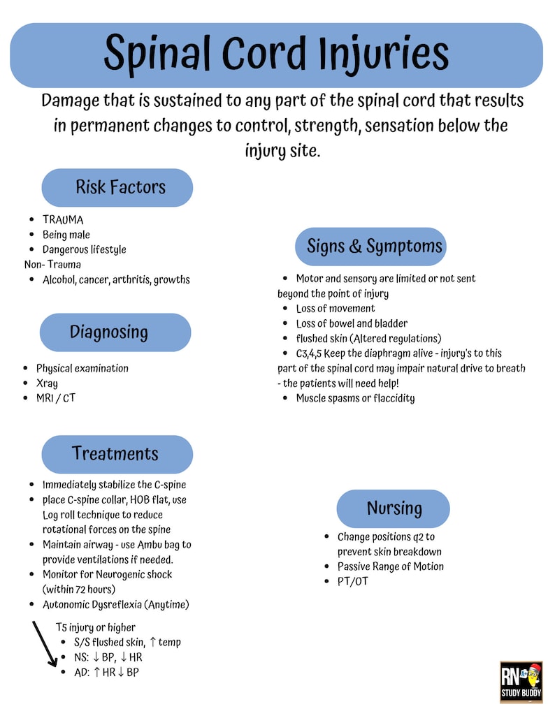 Nursing School Notes, Medsurg Neurology Spinal Cord Injury, This Cheat ...