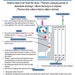 Chest Tubes Nursing School Notes, Med Surg Pulmonary Basics, Chest ...