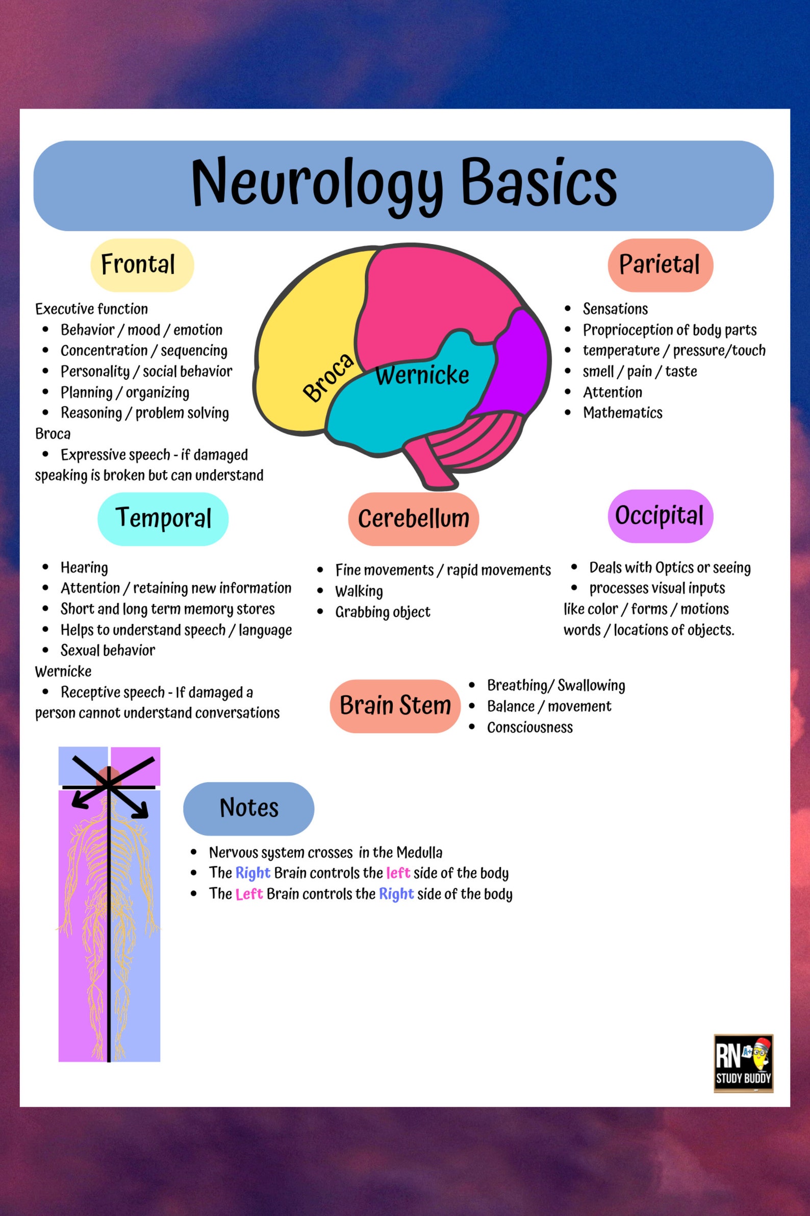 Neuro Medsurg Bundle. 20 Pages Easy Neurology Medsurg Nursing Notes and ...