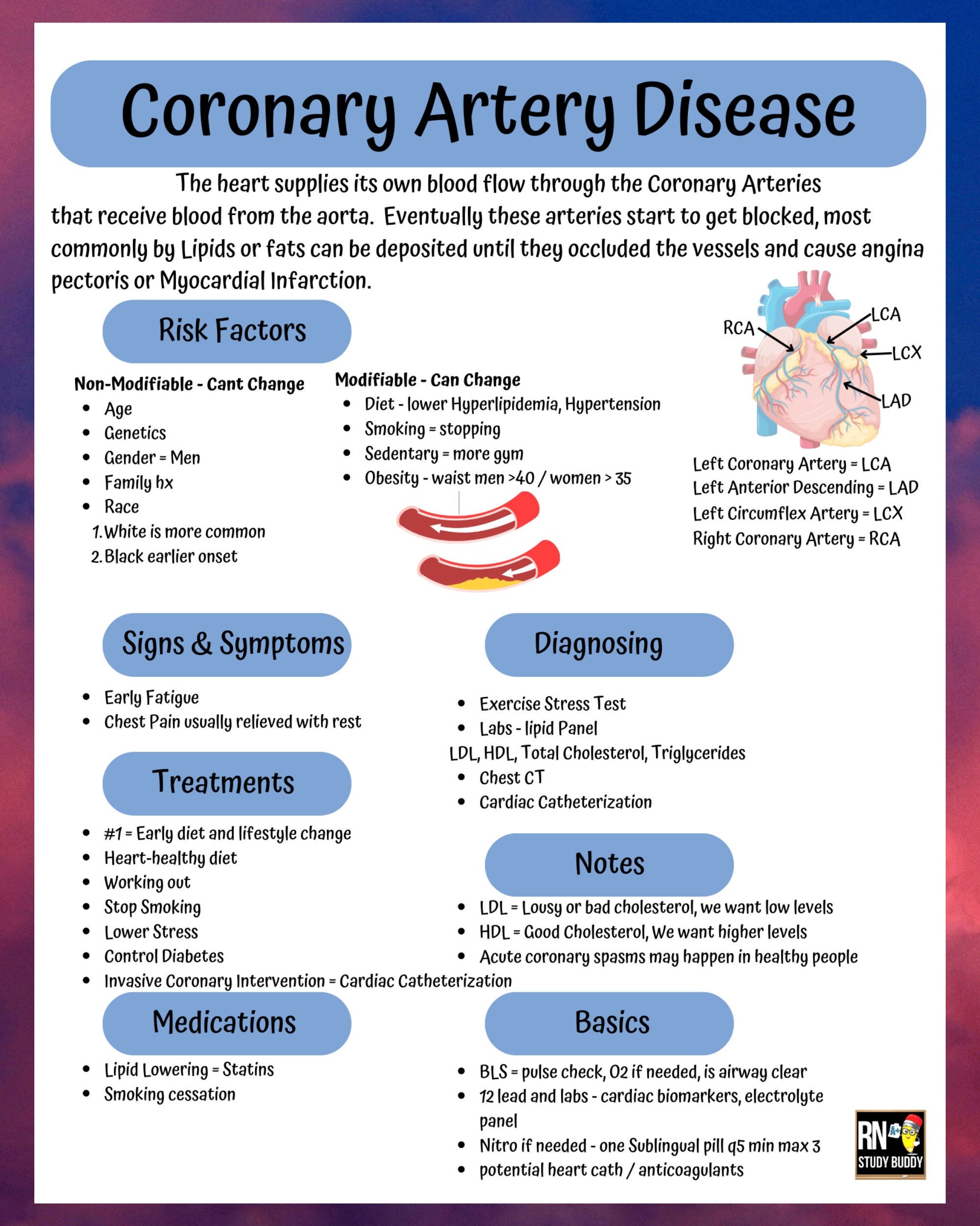 Nursing School Notes, Medsurg Cardiac Acute Coronary Disease, This ...