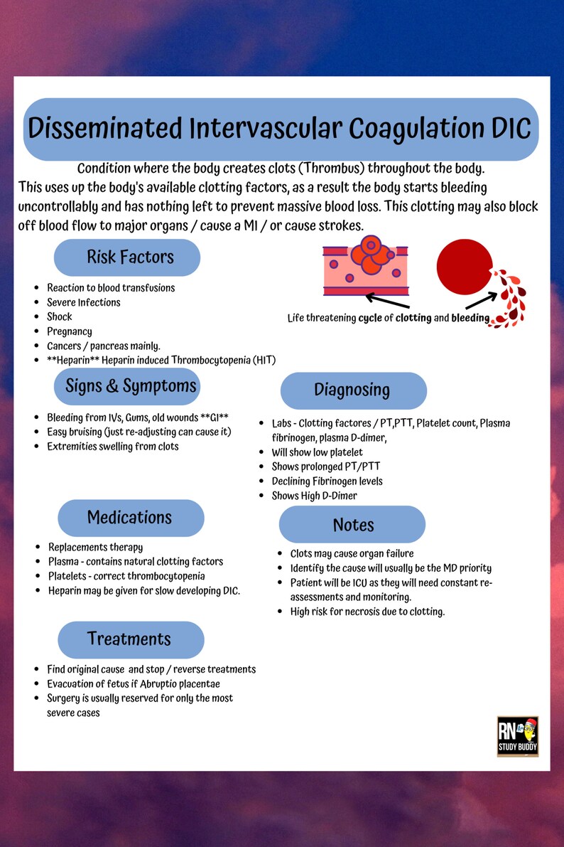 Cardiac Medsurg Bundle. 18 Pages Easy Cardiac Medsurg Nursing Notes and ...