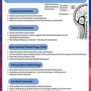 Nursing School Notes, Medsurg Neurology Brain Bleeding and Hemorrhage ...