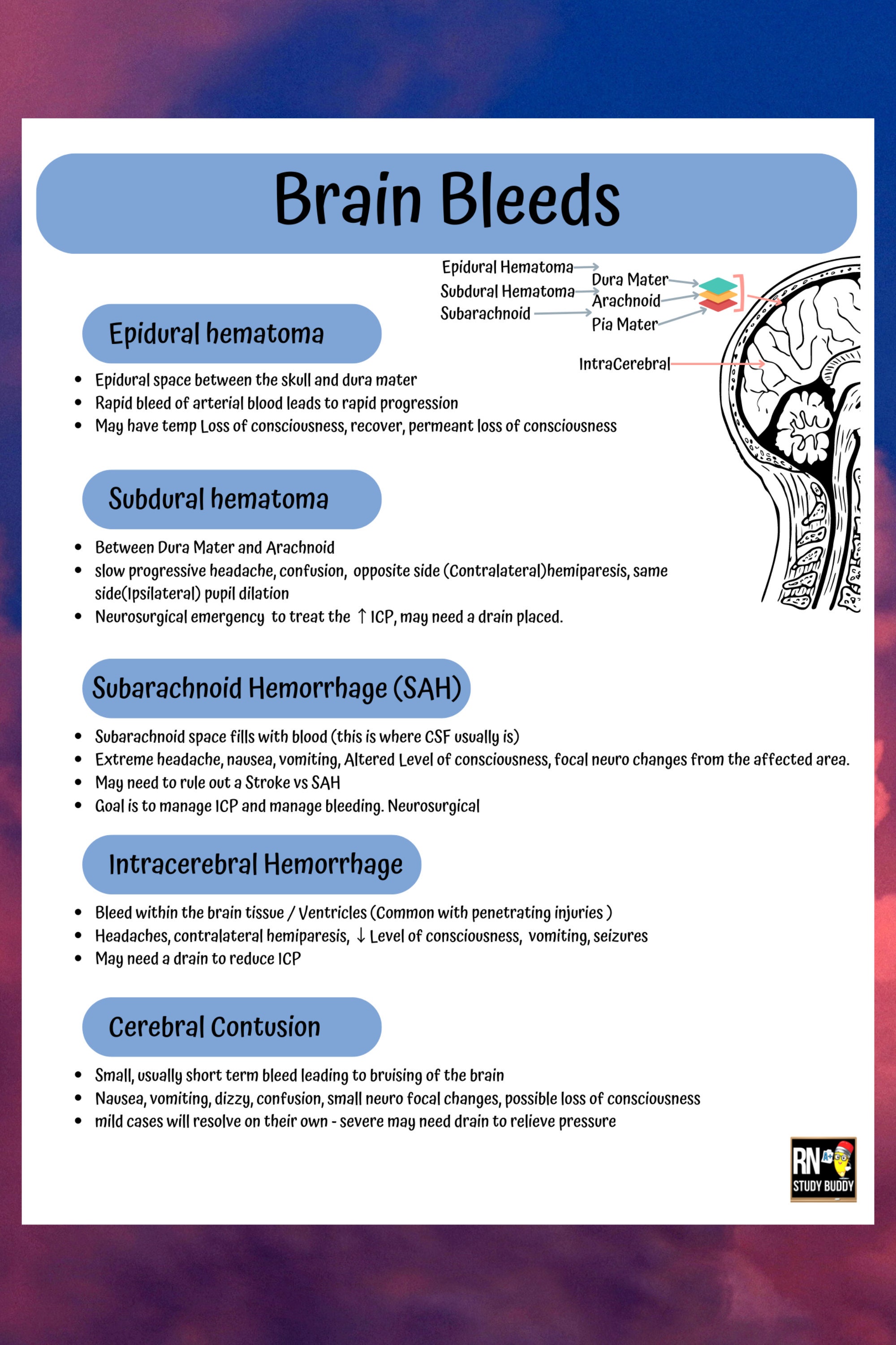 Nursing School Notes, Medsurg Neurology Brain Bleeding and Hemorrhage ...